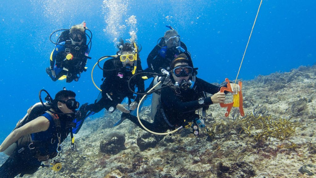 Drift Diver - Ocean Diving Center